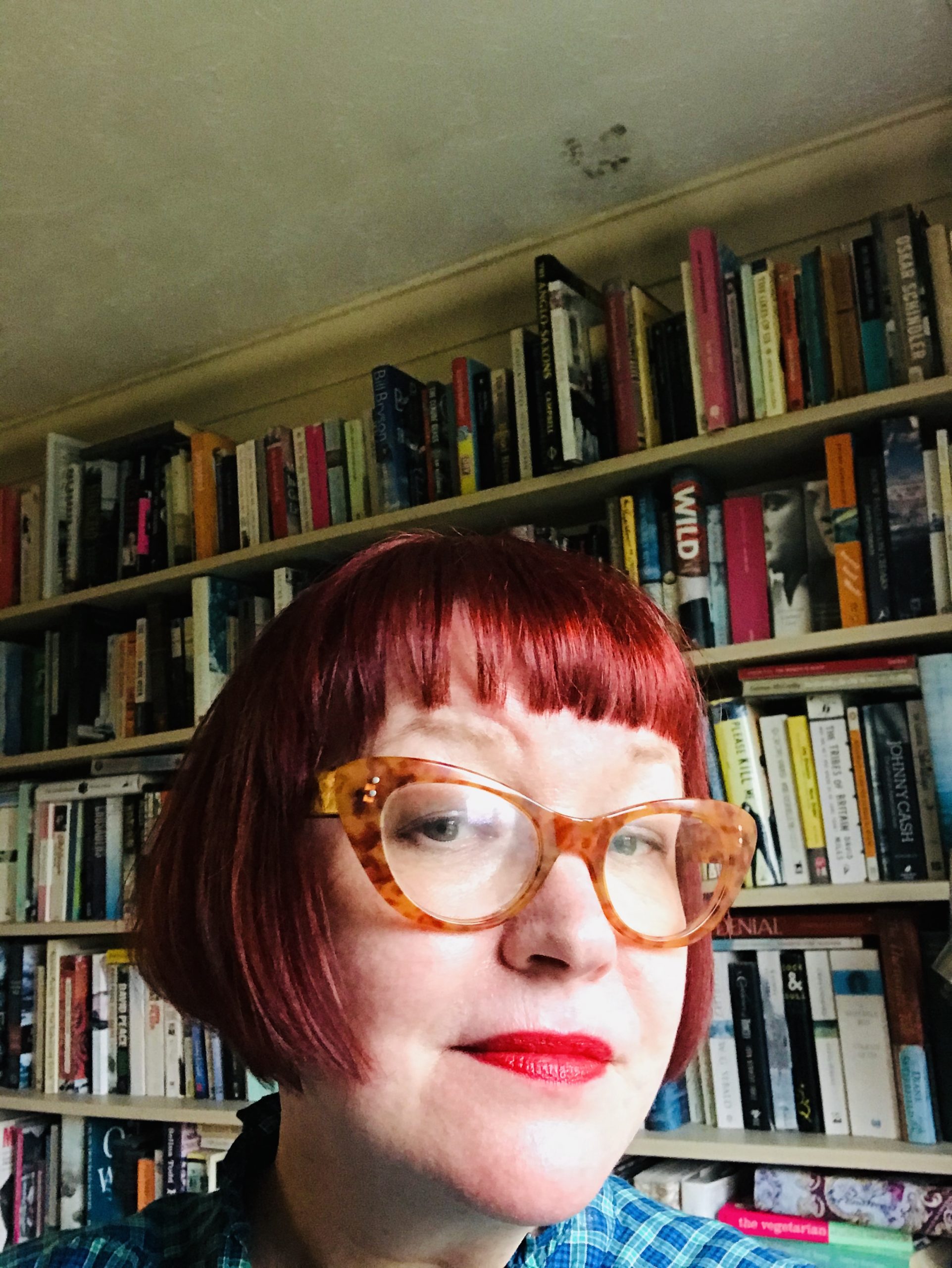 Sue Fletcher - Community Arts North